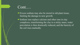 Sodium & its role in plant | PPTX