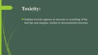 Sodium & its role in plant | PPTX