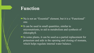 Sodium & its role in plant | PPTX