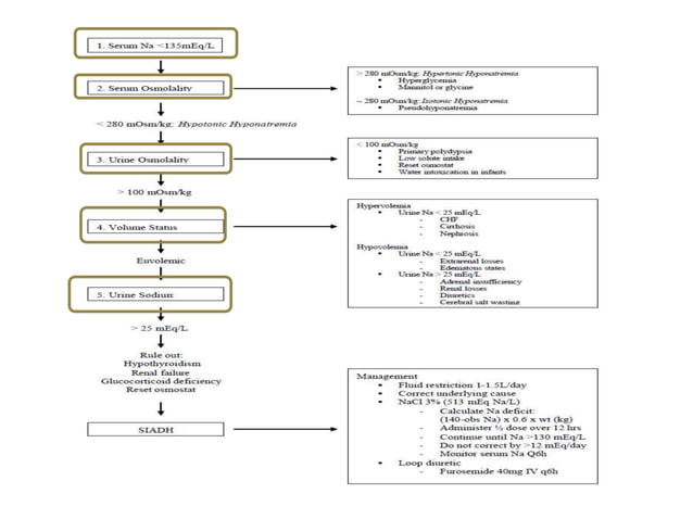 Sodium metabolism and disorders | PPTX | Endocrine and Metabolic ...