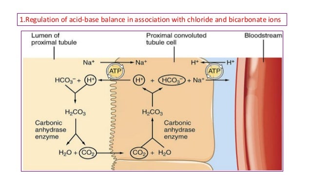 Sodium metabolism and its clinical applications