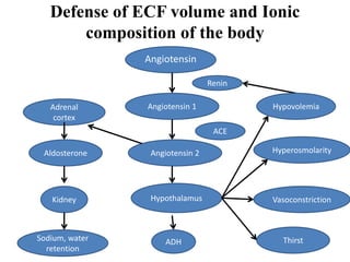 Sodium metabolism, hyponatraemia & hypernatraemia | PPT