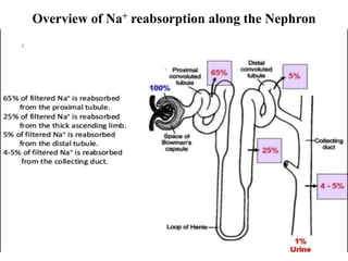Sodium metabolism, hyponatraemia & hypernatraemia | PPT