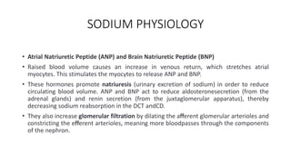 SODIUM PHYSIOLOGY.pptx