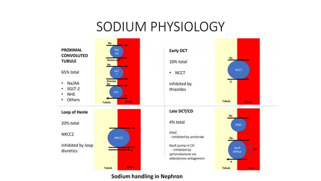 SODIUM PHYSIOLOGY.pptx