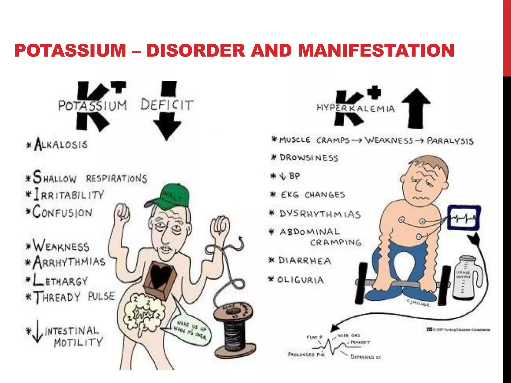 Sodium, potassium and chloride | PPTX