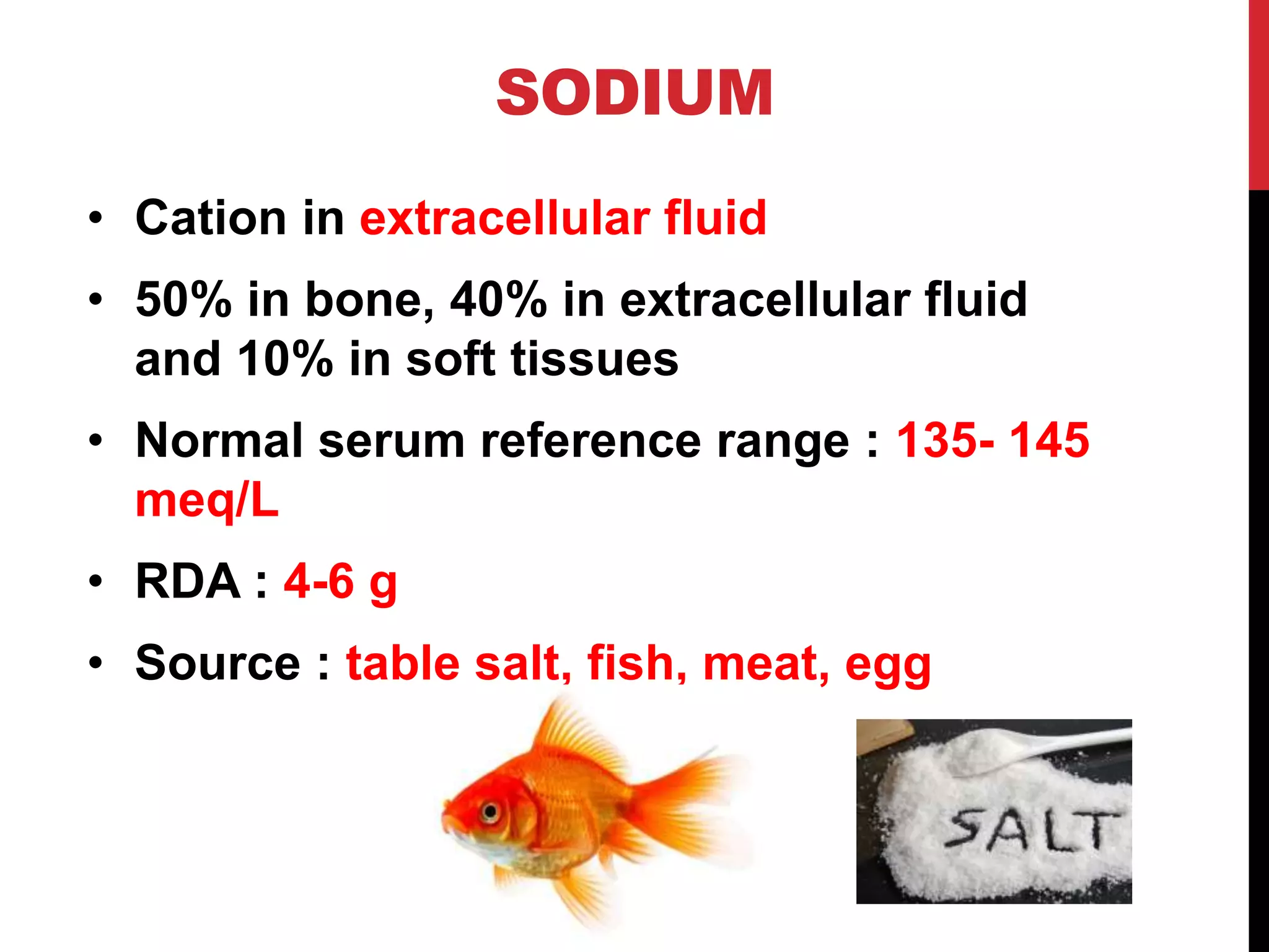 Sodium, potassium and chloride | PPTX