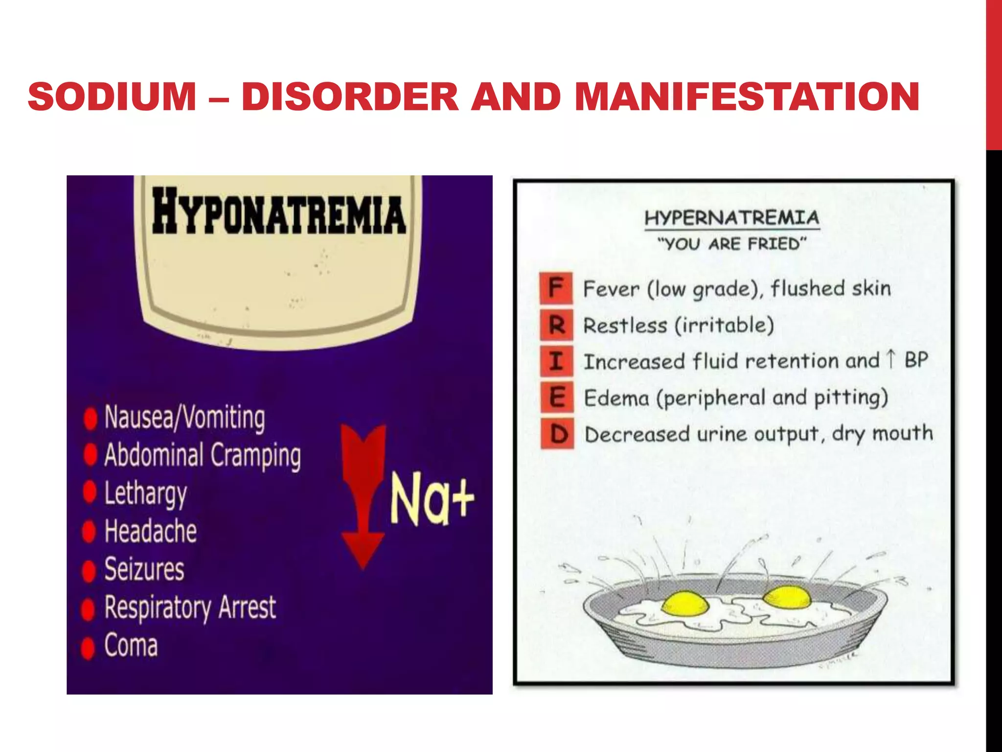 Sodium, potassium and chloride | PPTX