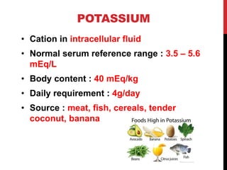Sodium, potassium and chloride | PPTX