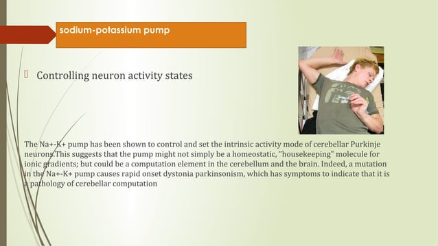 Sodium potassium pump | PPT | Chemistry | Science