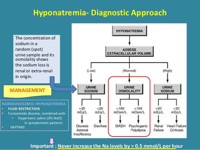 Sodium homeostasis