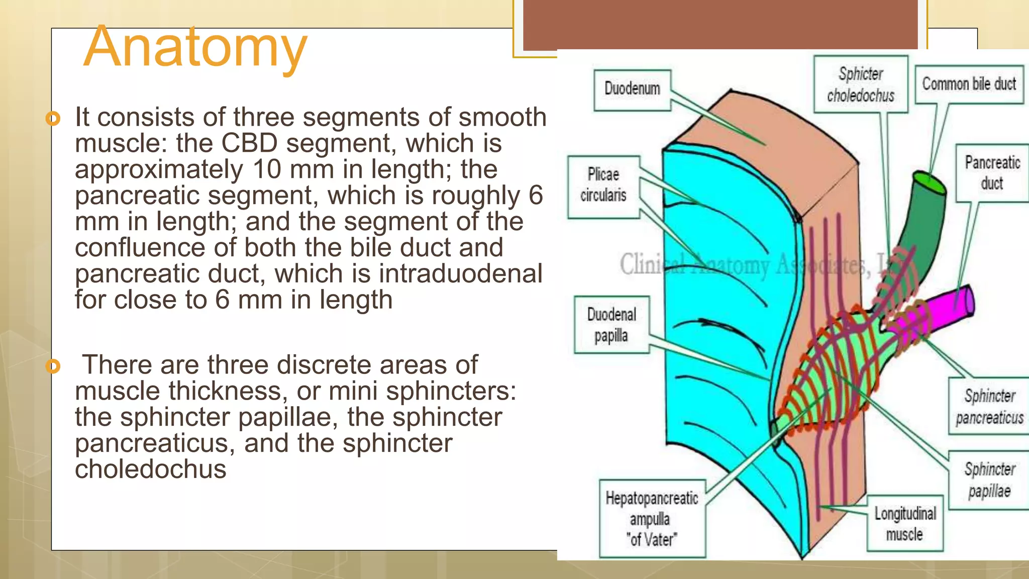 Sods sphincter of Oddi Dysfunction | PPTX