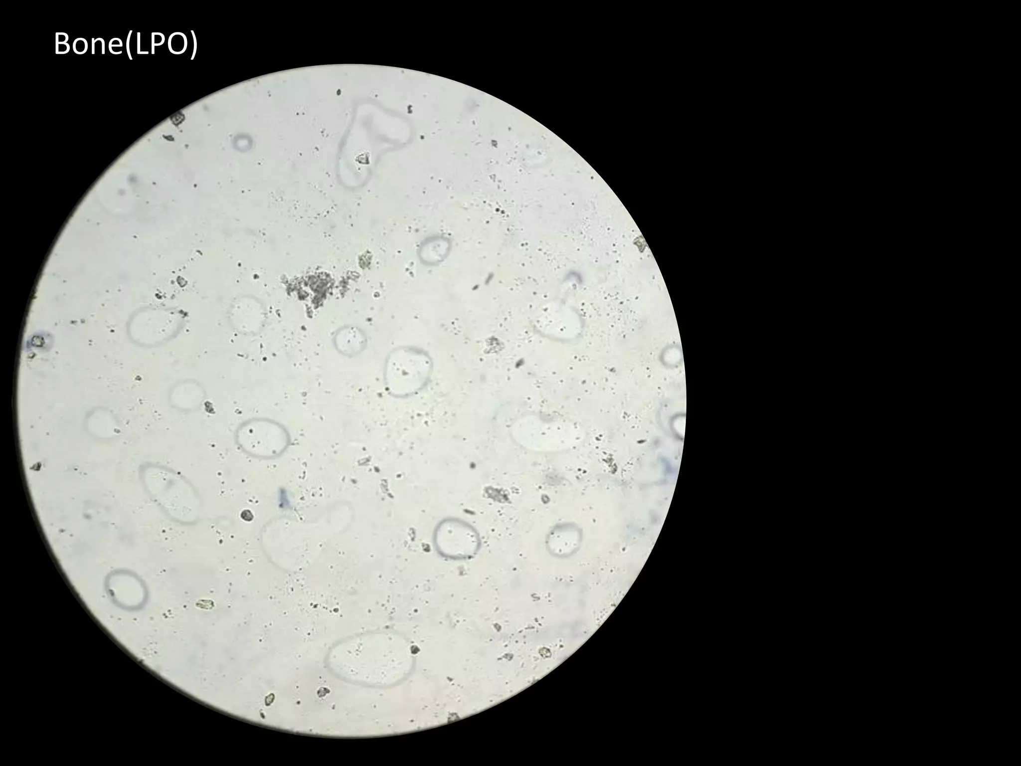 50 Shades of Pink and other Colors of Histology | PPTX