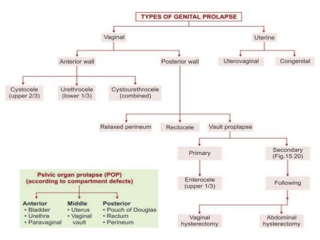 Pelvic organ prolapse