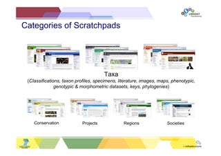 Swiss Orchid Foundation Scratchpads and ViBRANT overview | PPT