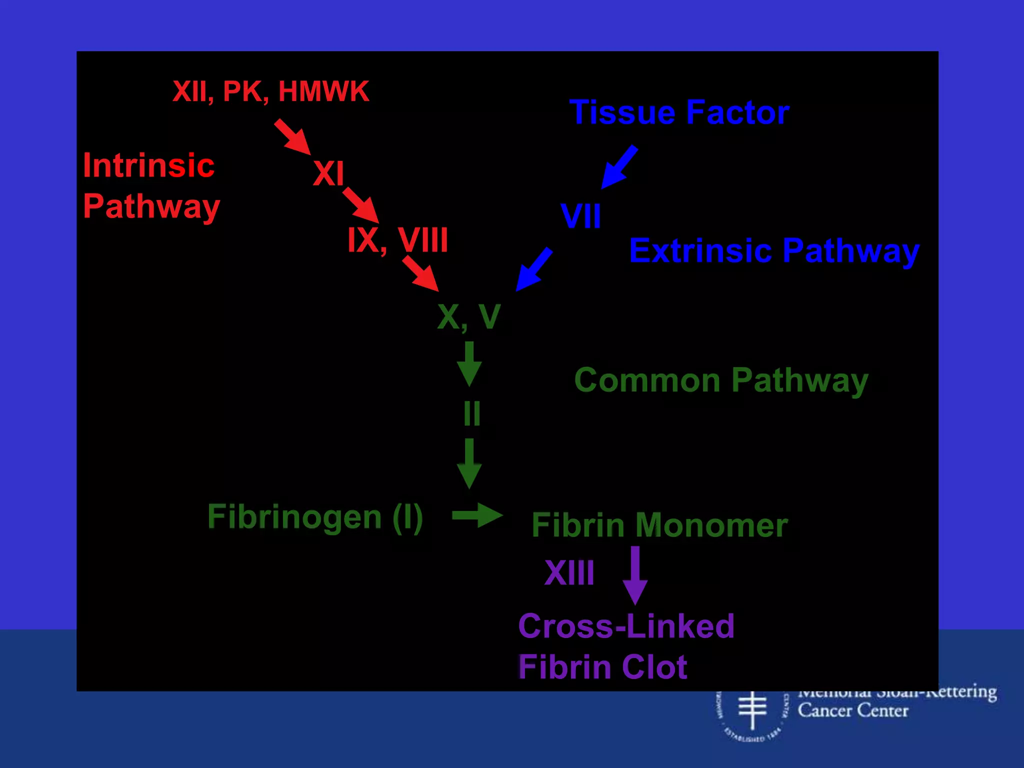 coagulation system | PPTX