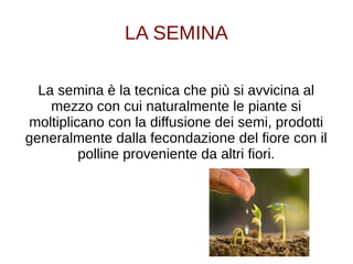 Sofia zaniolo 2_cp-compito1 | ODP