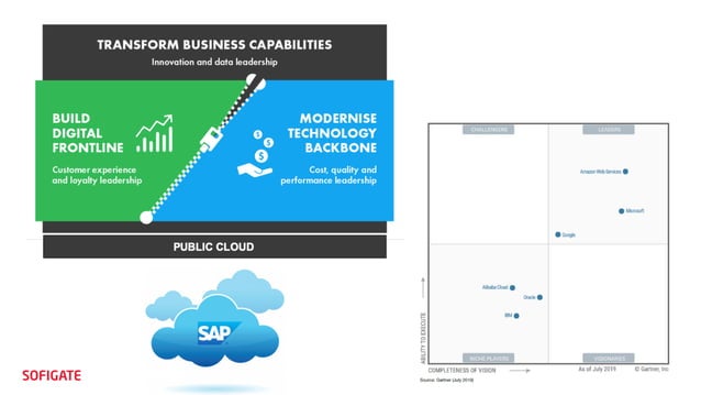 SAP and Public Cloud | PDF | Cloud Computing | Internet