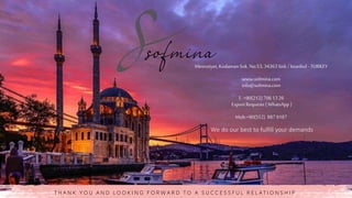 Sofmina Corparate Profile | PPT