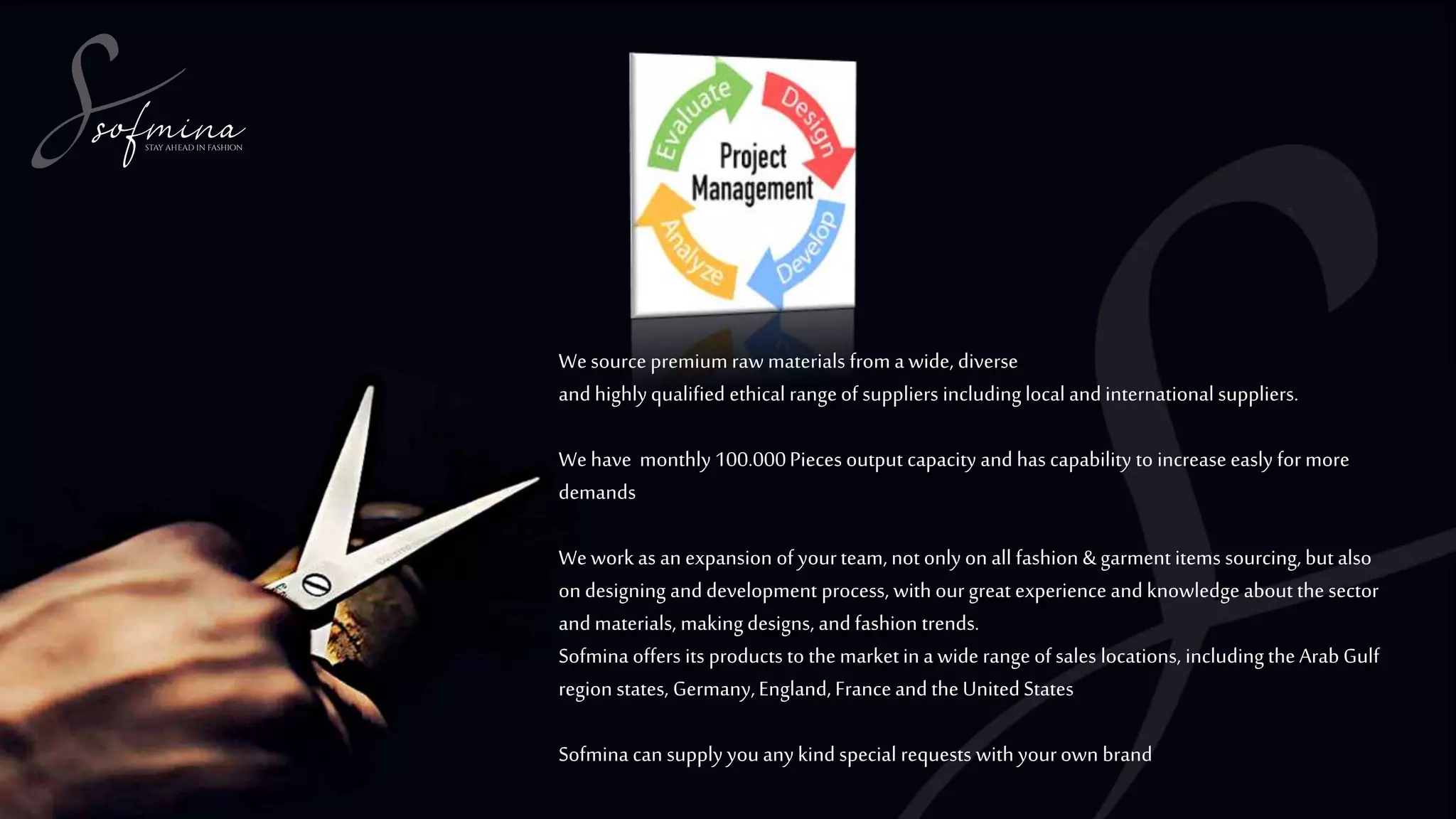 Sofmina corporate profile | PPT