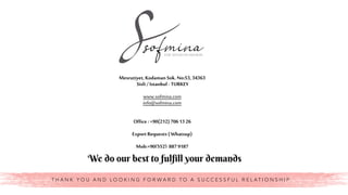 Sofmina corporate profile | PPT