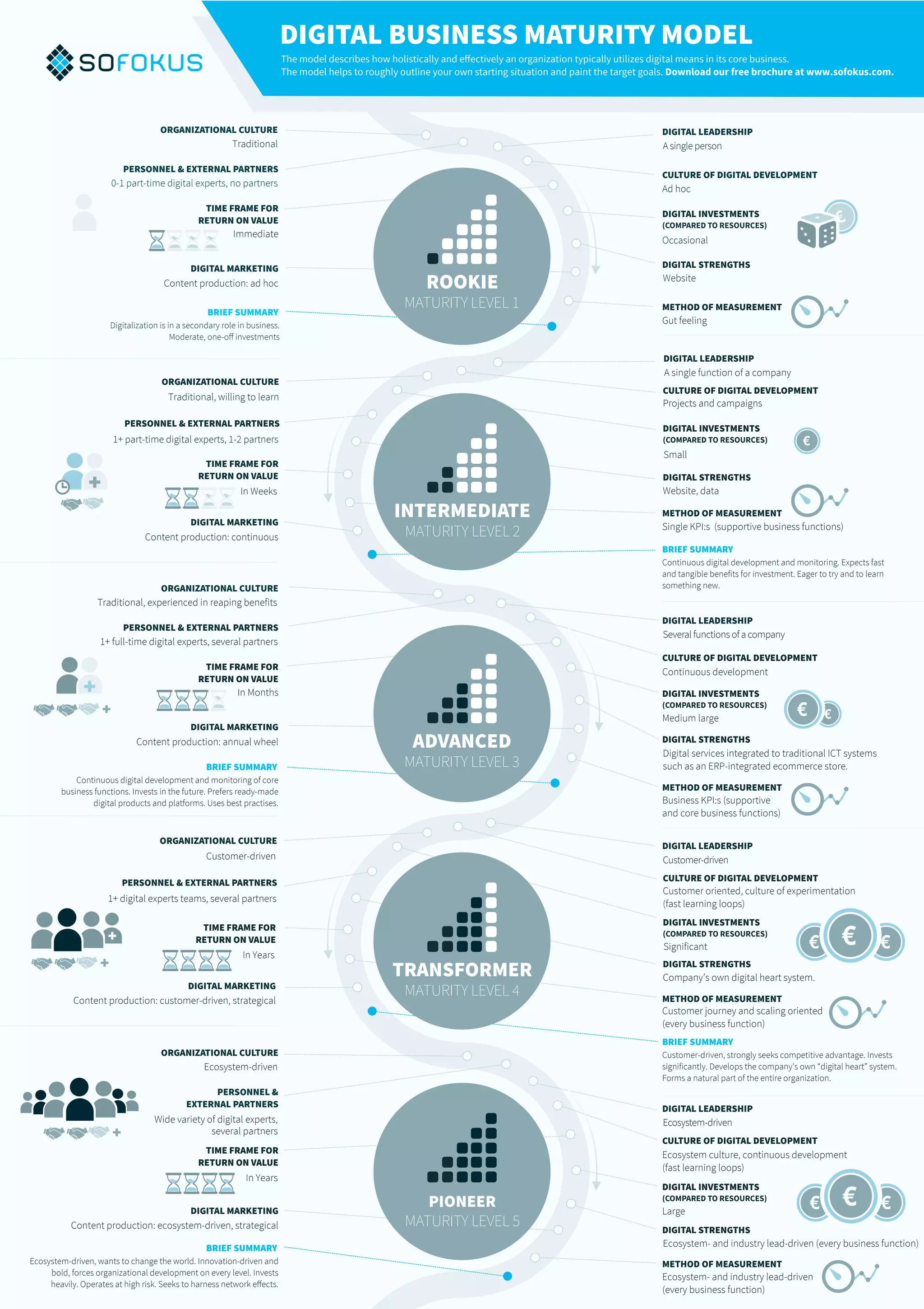 Digital Business Maturity model - INFOGRAPH (in English) | PDF