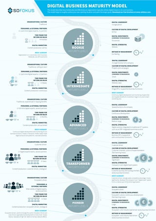 Digital Business Maturity model - INFOGRAPH (in English) | PDF