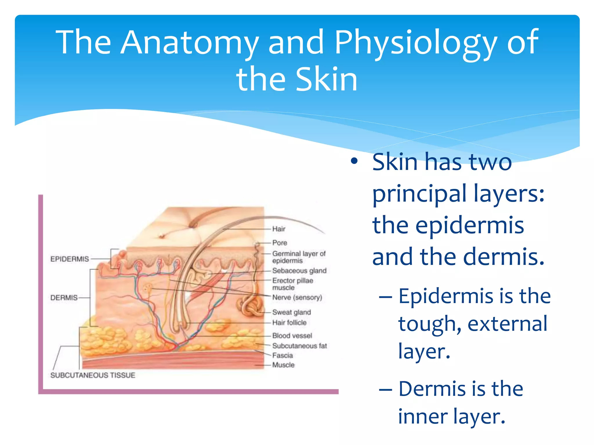 Soft-Tissue Injuries | PPTX