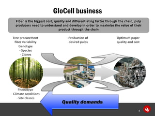 Softacell raw material optimization by GloCell Oy | PPT