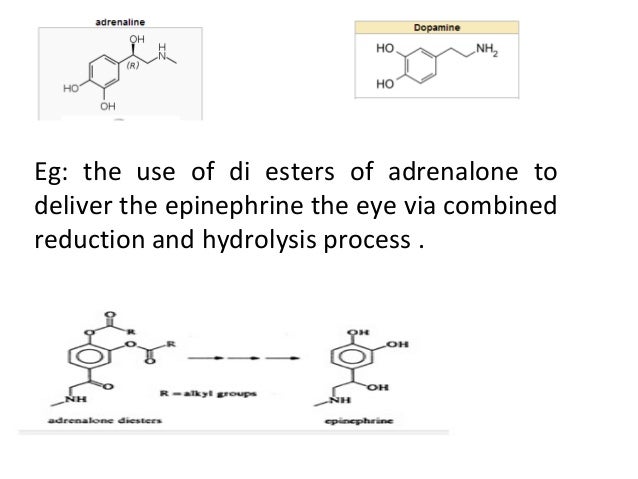 Dr. Kumud Tanwar's Chemistry blog: The difference between Prodrugs and ...