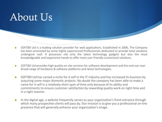 Software Company Profile | PDF