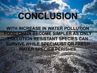 (Soft copy) environmental studies water pollution | PPT