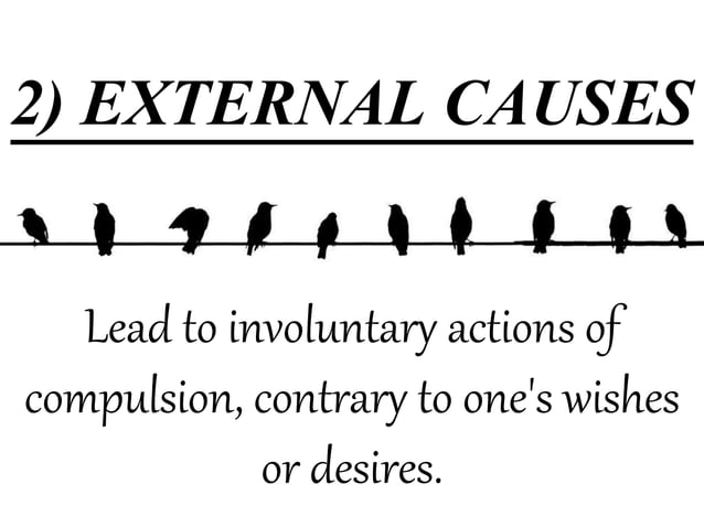 Soft determinism | PPTX