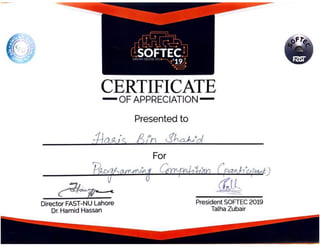 SOFTEC'19 Programming Competition Certificate | PDF