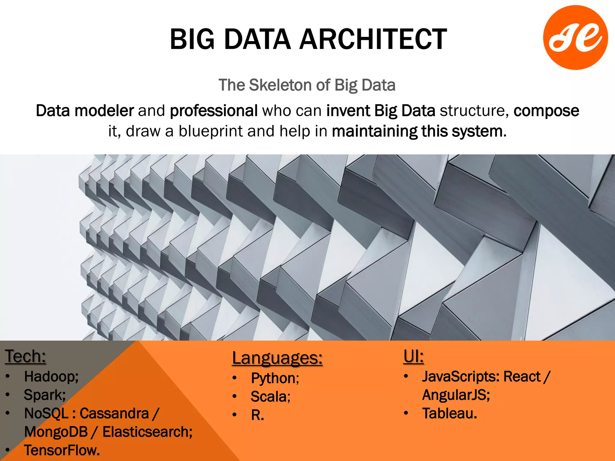 SoftElegance Services: Data Science, Data Engineering, Big Data Architecture | PPT