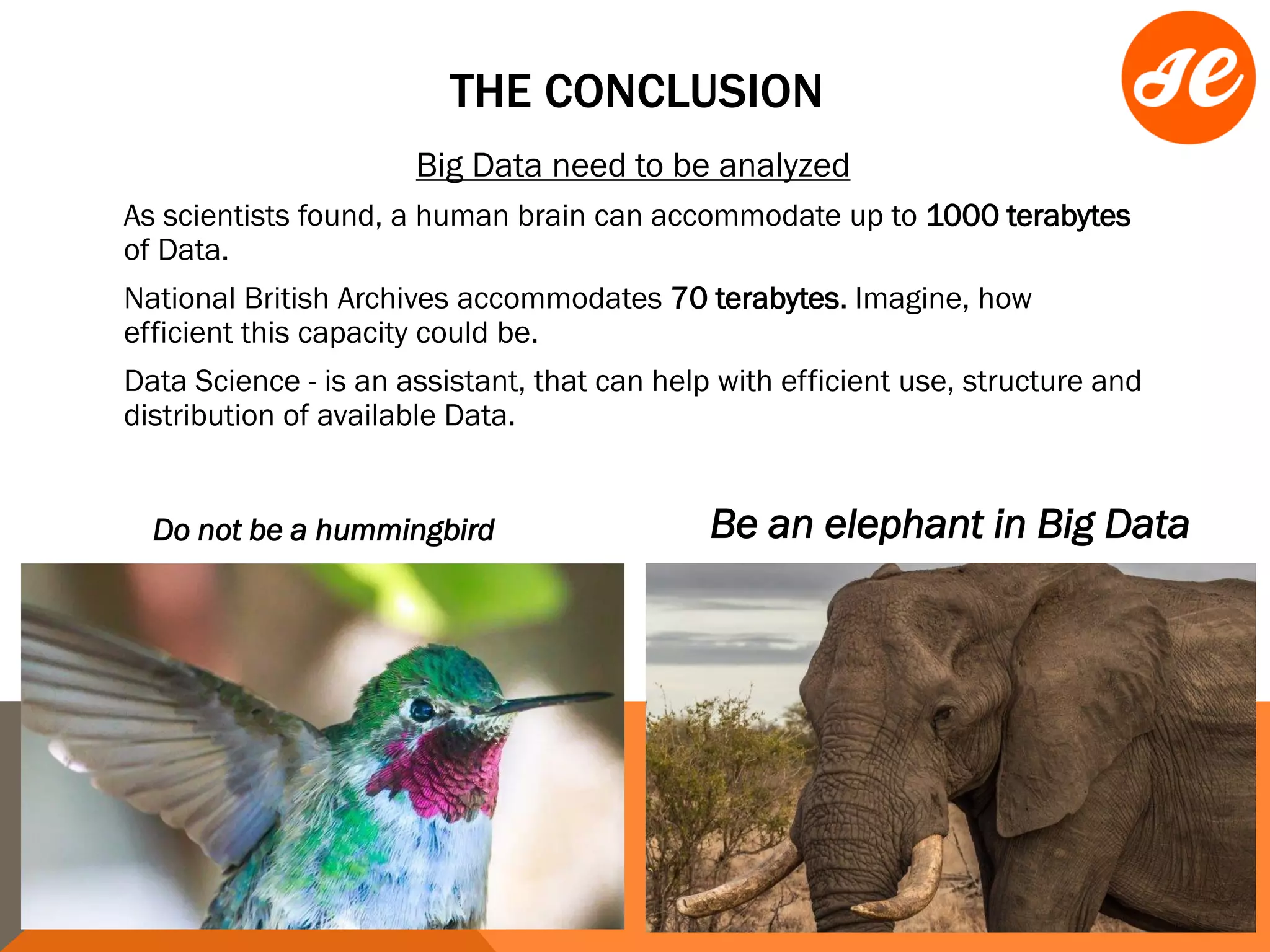 SoftElegance Services: Data Science, Data Engineering, Big Data Architecture | PPT