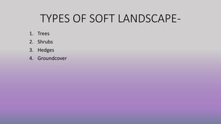 Soft landscape | PPTX