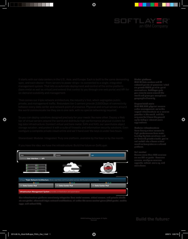 SoftLayer Overview | PDF