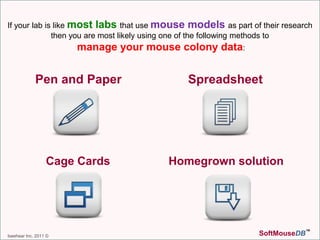 SoftMouse DB overview september 20 2011 | PPTX