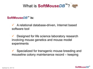Softmouse Mouse Colony Management Databaseprimer presentation aug 15 ...
