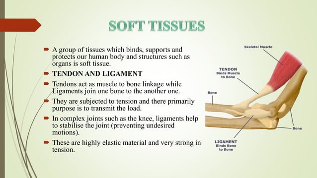 Compressive behavior of soft muscle tissues | PPT