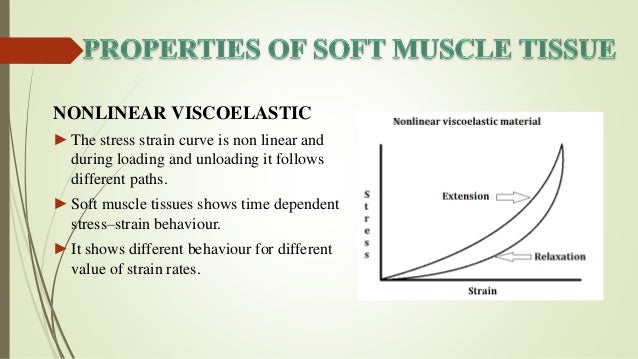 Compressive behavior of soft muscle tissues