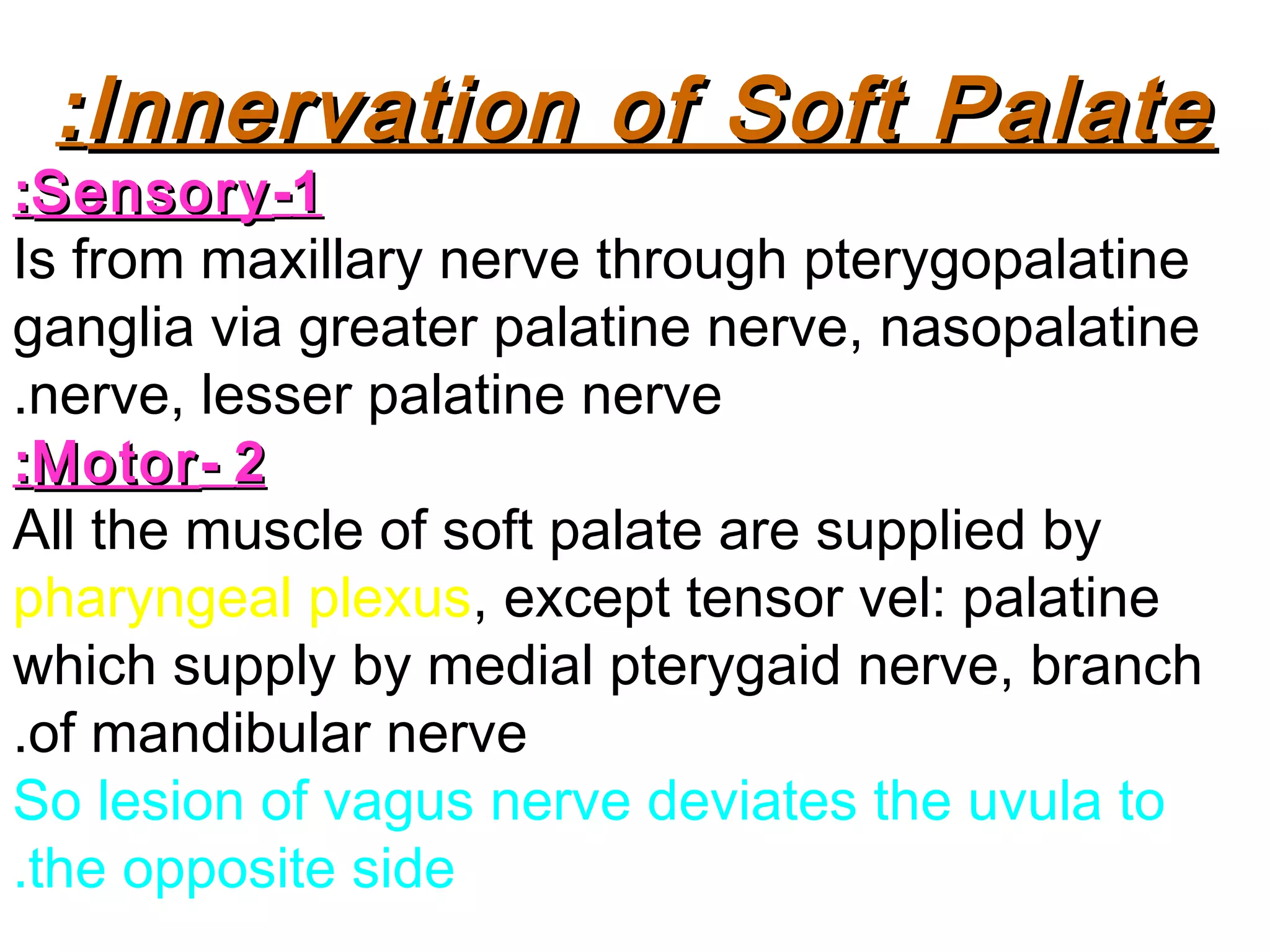 Anatomy of Soft palate | PPT