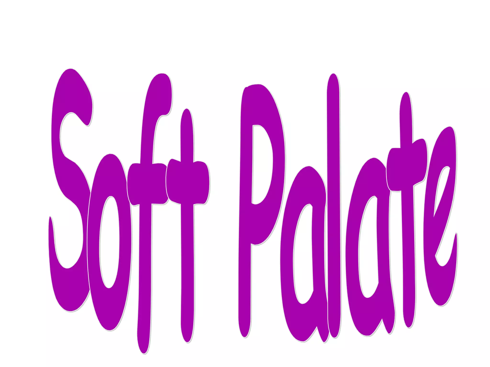 Anatomy Of Soft Palate Ppt
