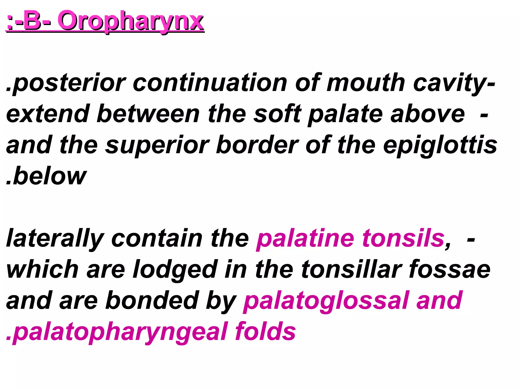 Anatomy of Soft palate | PPT