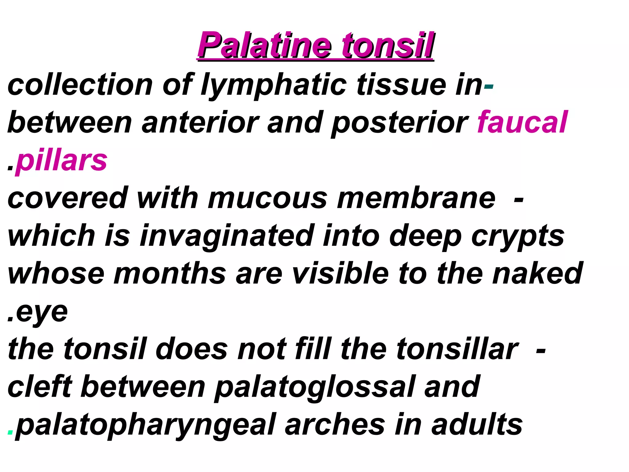 Anatomy of Soft palate | PPT