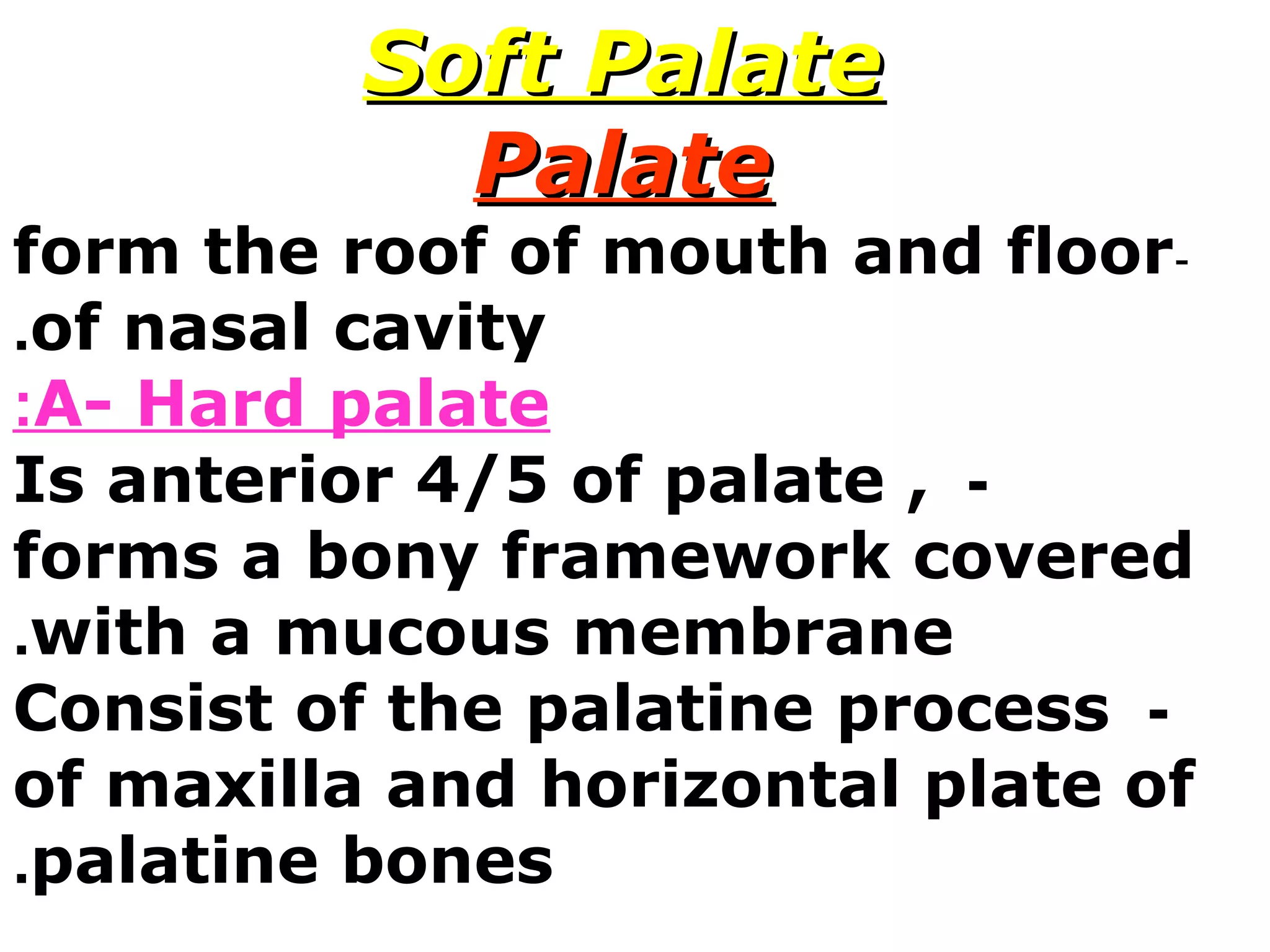 Anatomy of Soft palate | PPT