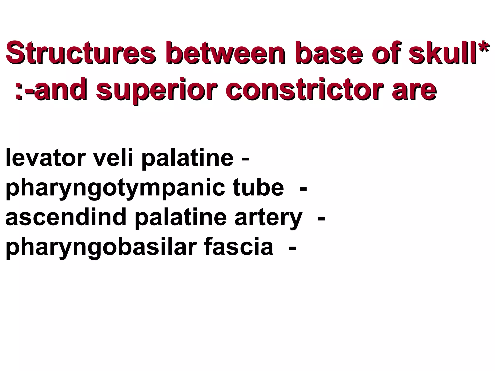 Anatomy of Soft palate | PPT