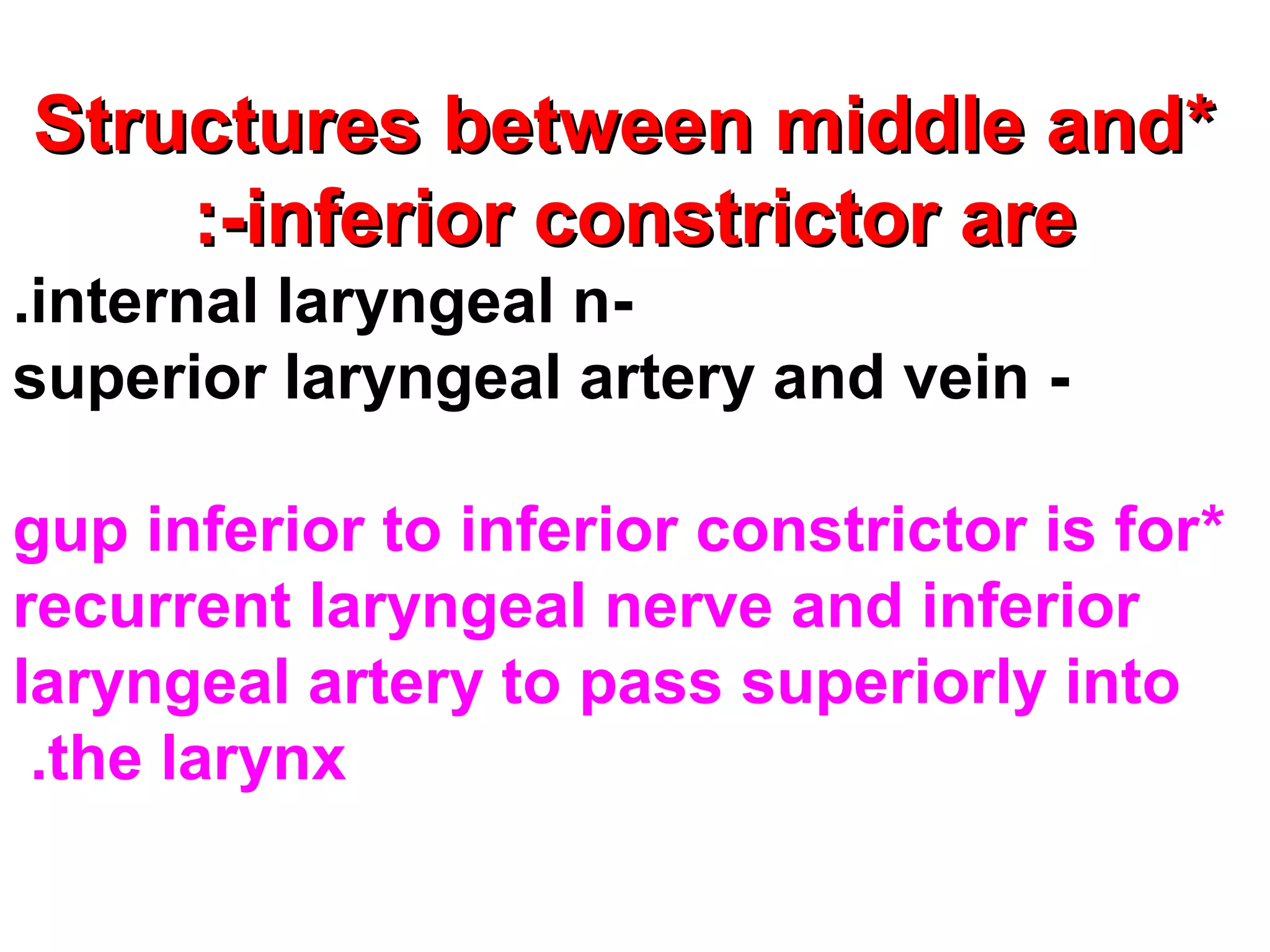 Anatomy of Soft palate | PPT