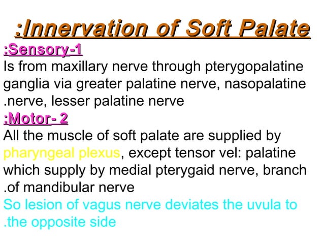 Anatomy of Soft palate | PPT